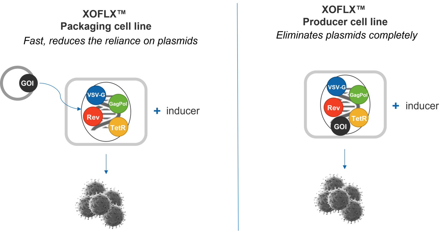 XOFLX™ Packaging and Producer Cell Lines - Advanced Therapies